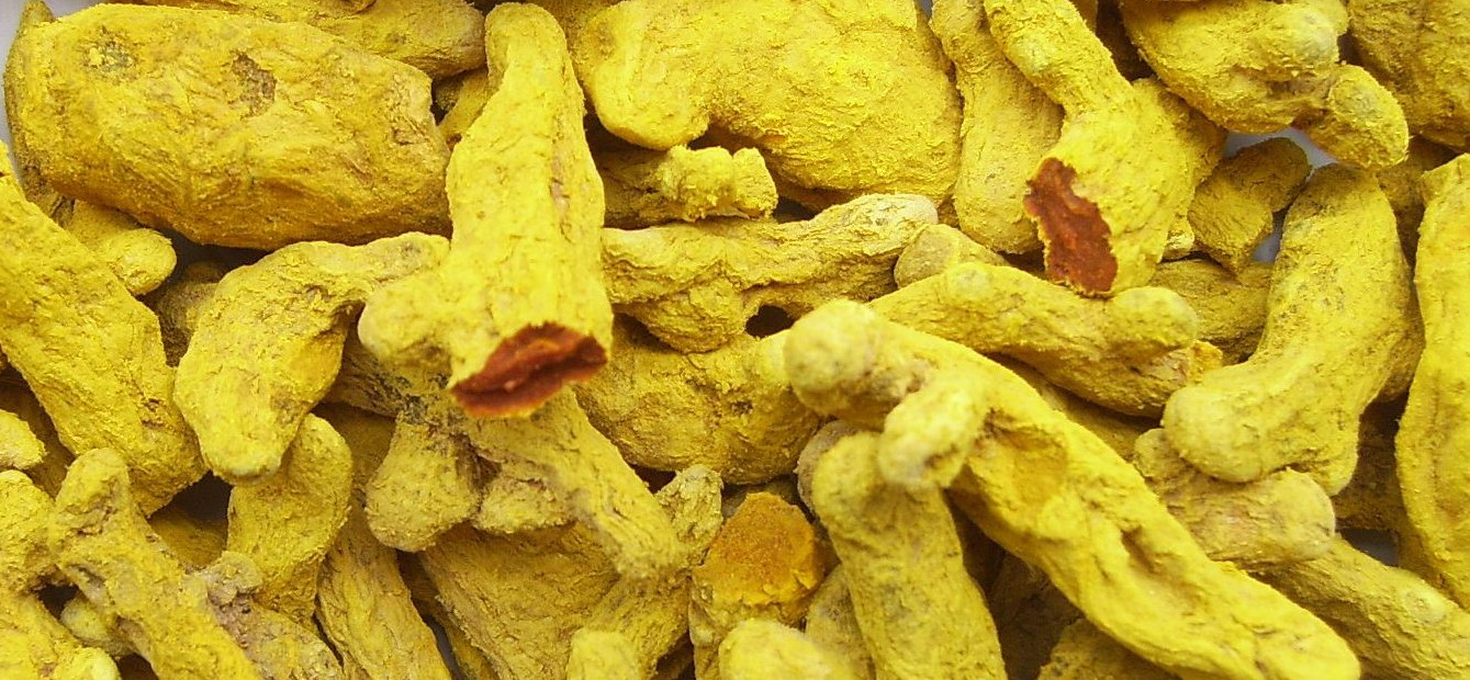 Benefit of Turmeric or Curcuminoids for Arthritis and Joints Pain ...